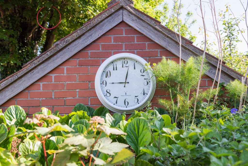 Financial Information - Iron Acton